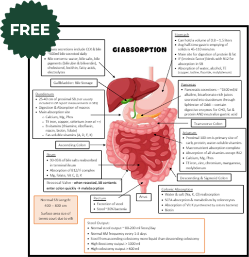 Home - Storm Nutrition Study Support